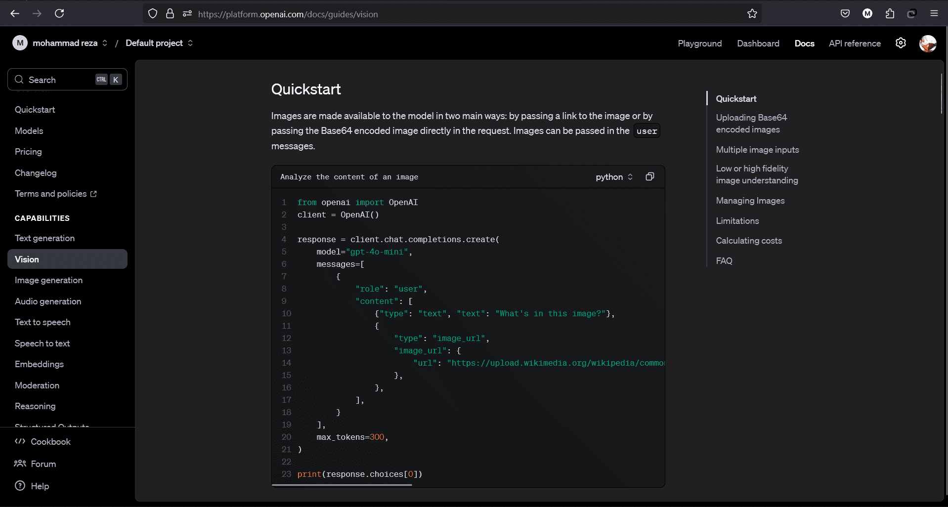 تحلیل و توصیف تصاویر به وسیله OpenAI Vision API - SeeMe